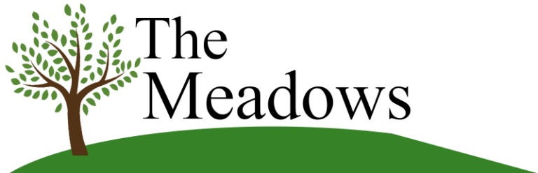 The Meadows – The Meadows by Essex Developments